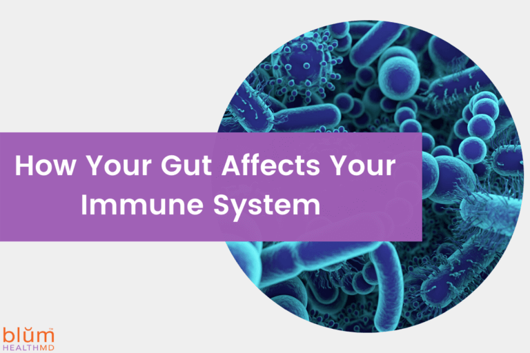How Your Gut Affects Your Immune System - Blum Health MD