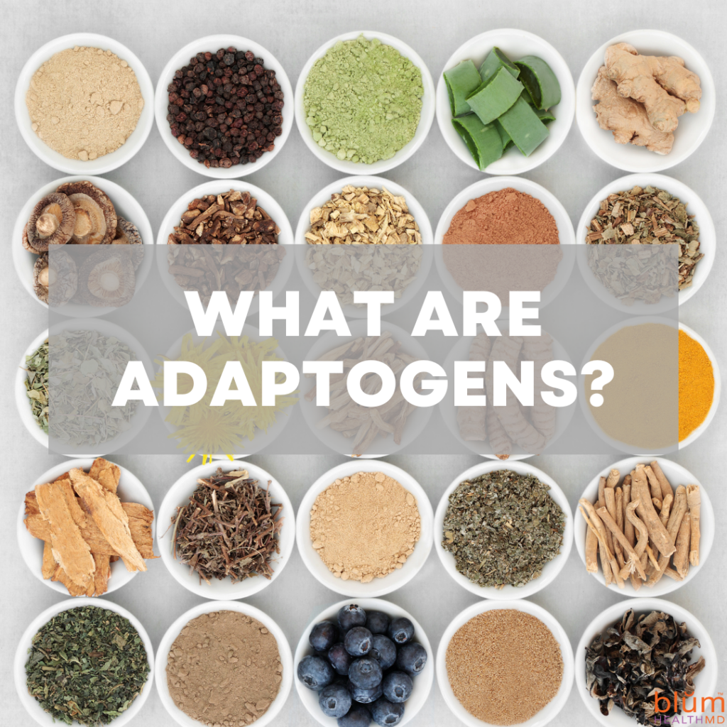 What are Adaptogens? - Blum Health MD